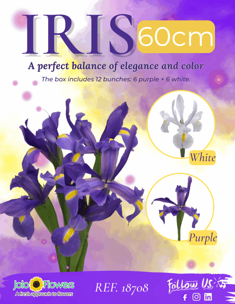 Product of the week 47 – JOLO FLOWERS