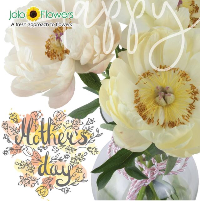 JOLO FLOWERS – A fresh approach to flowers