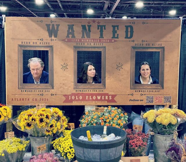 JOLO FLOWERS – A fresh approach to flowers
